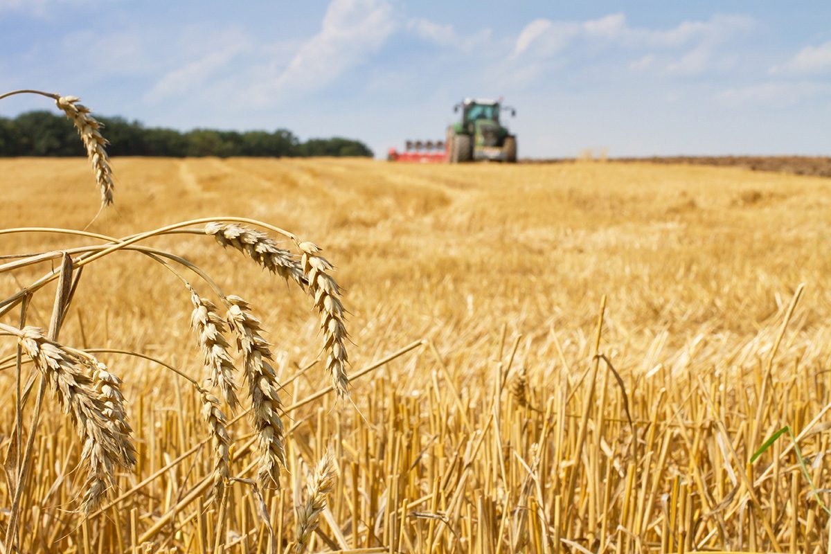 Familieretlige aspekter af generationsskifte i landbrug - Ret&Råd Advokater Århus C